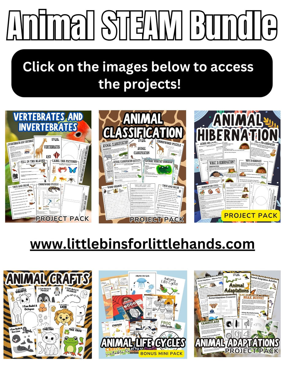 Animal STEAM Project Pack Bundle – Little Bins for Little Hands