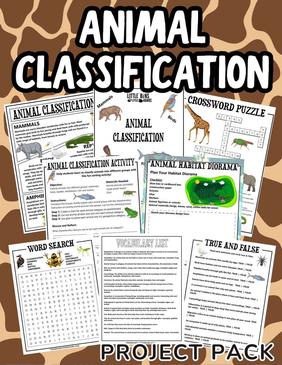 Animal Classification Activity Pack – Little Bins for Little Hands