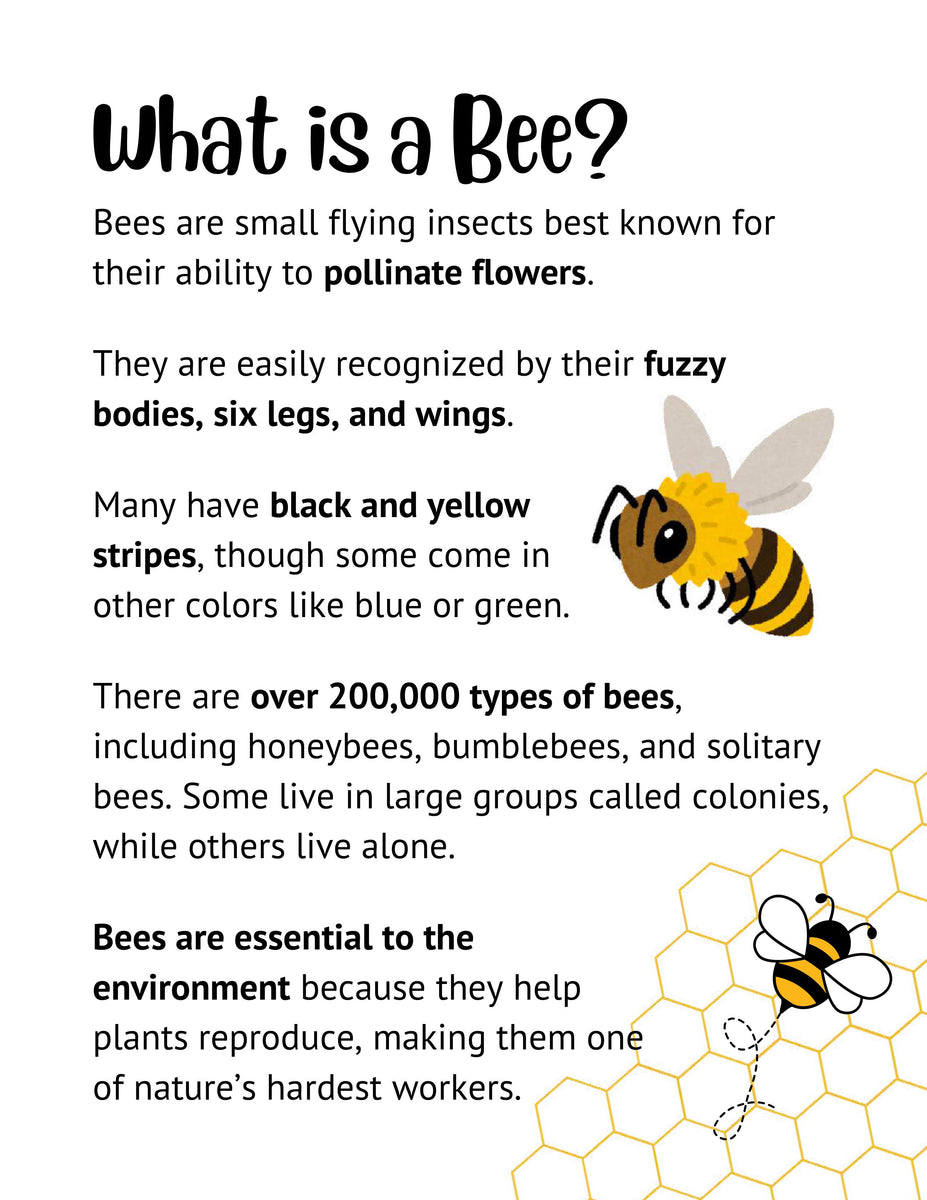 Bee Unit Study and Life Cycle Project Pack – Little Bins for Little Hands