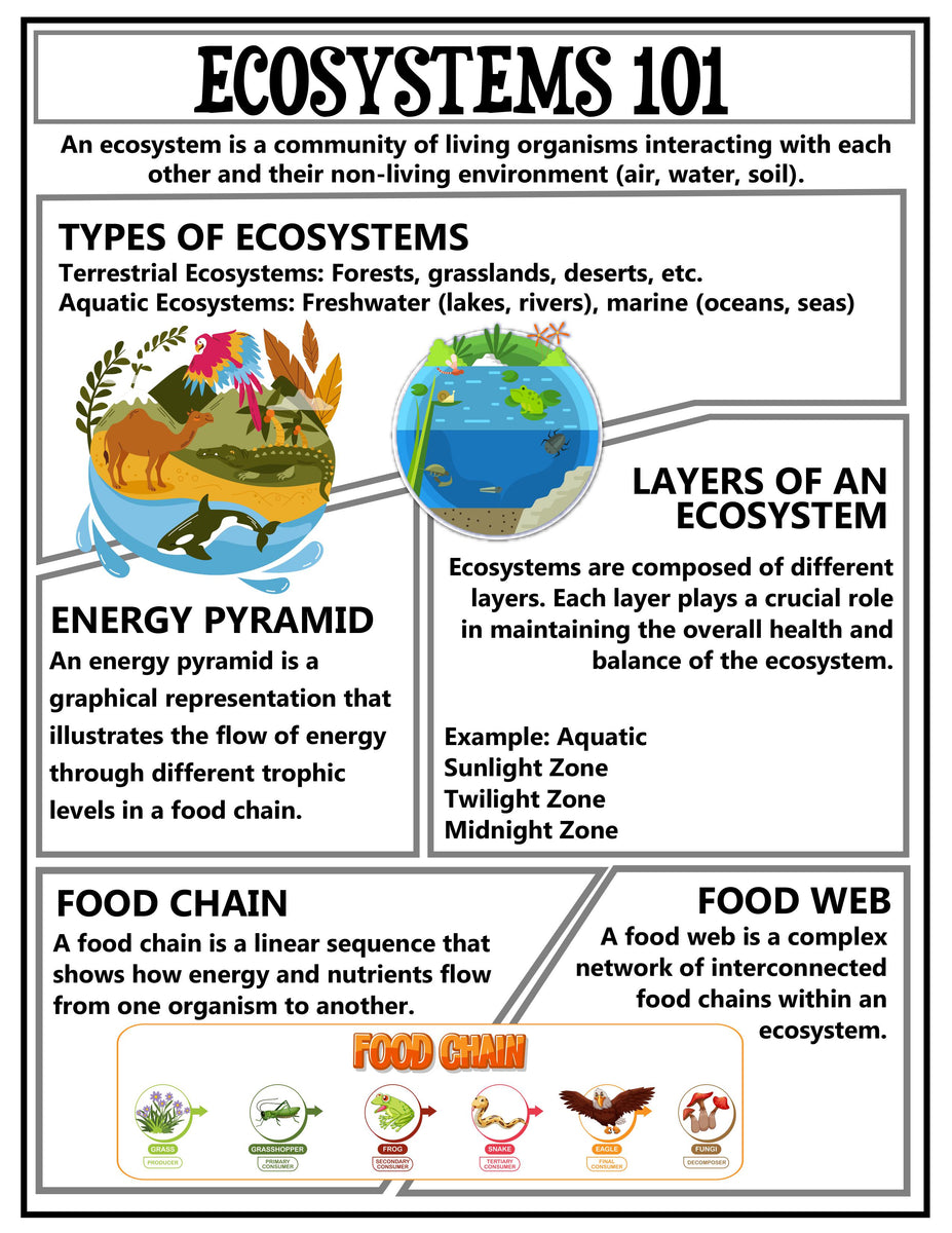 Animal Ecosystems Science Project Pack – Little Bins for Little Hands