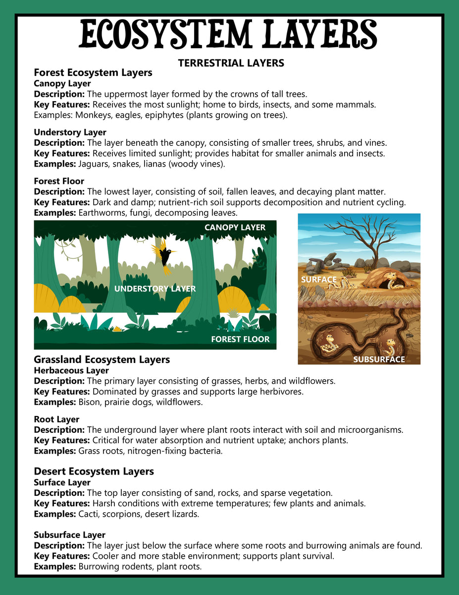 Animal Ecosystems Science Project Pack – Little Bins for Little Hands