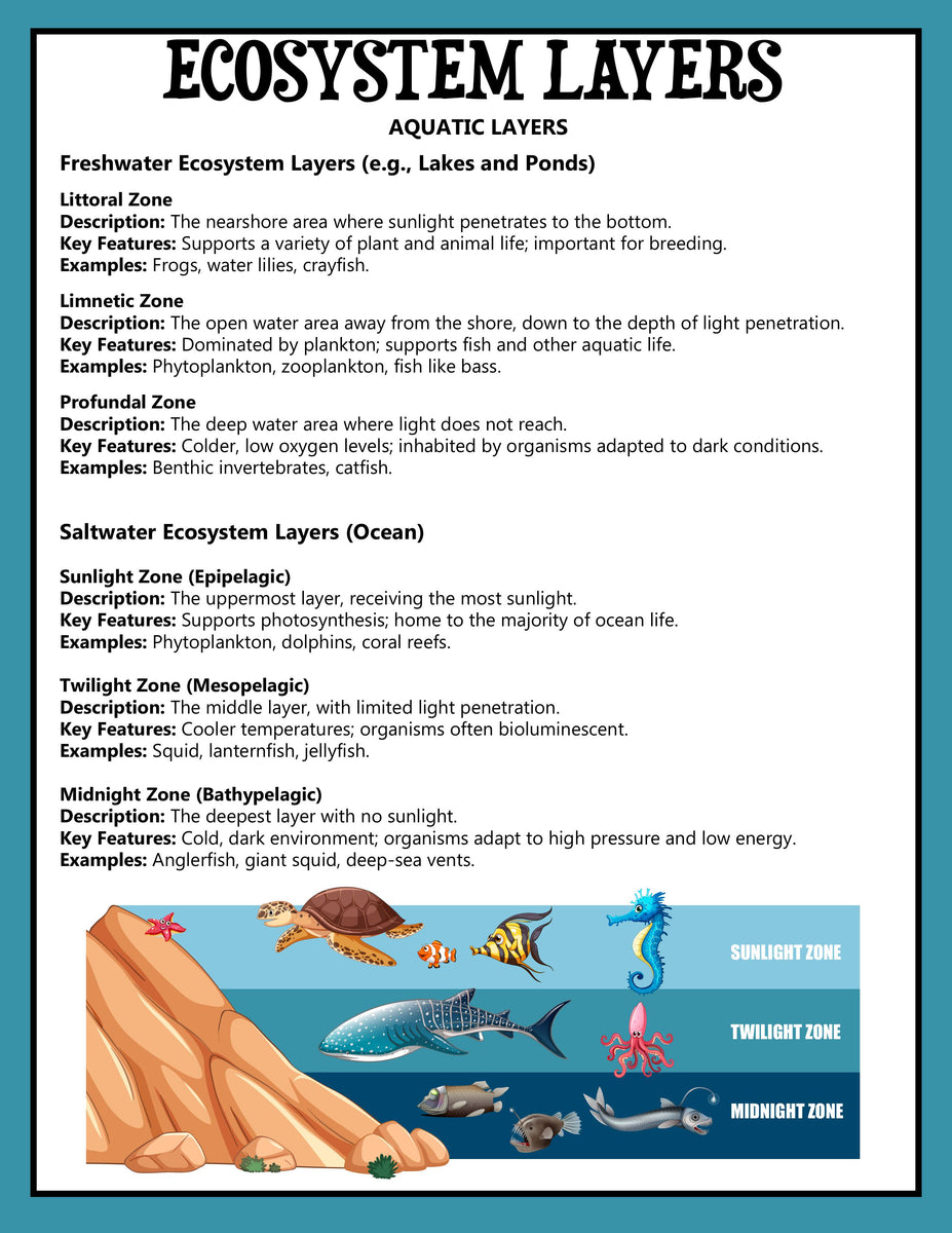 Animal Ecosystems Science Project Pack – Little Bins for Little Hands