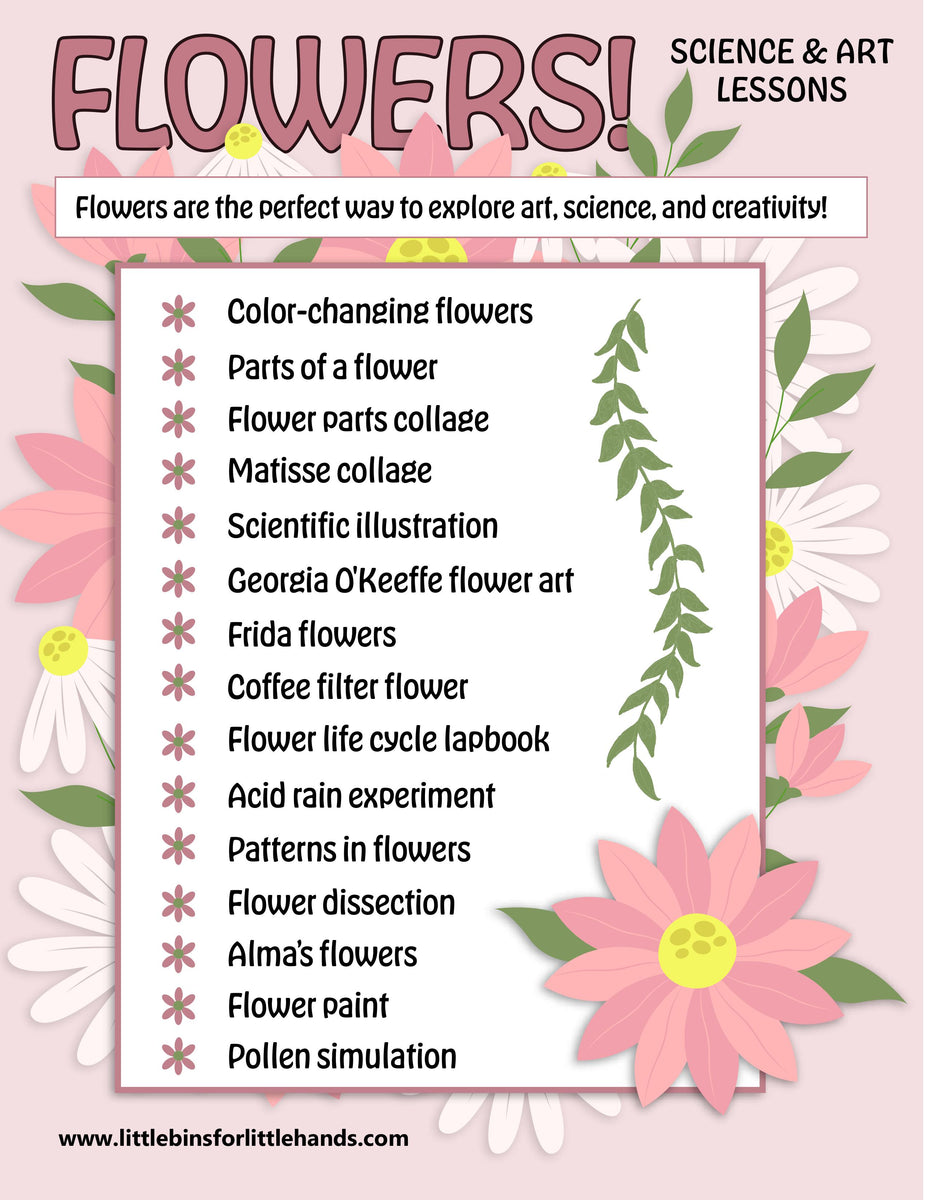 Flower STEAM Unit for Kids (K–4) | 7-Day Spring Science & Art Lesson P ...