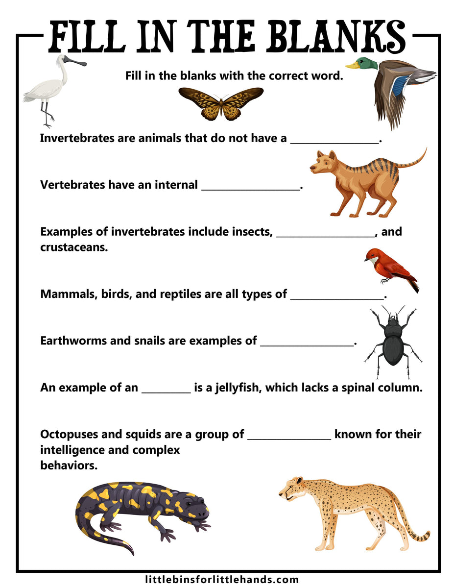 Animal Vertebrates and Invertebrates Activity Pack – Little Bins for ...
