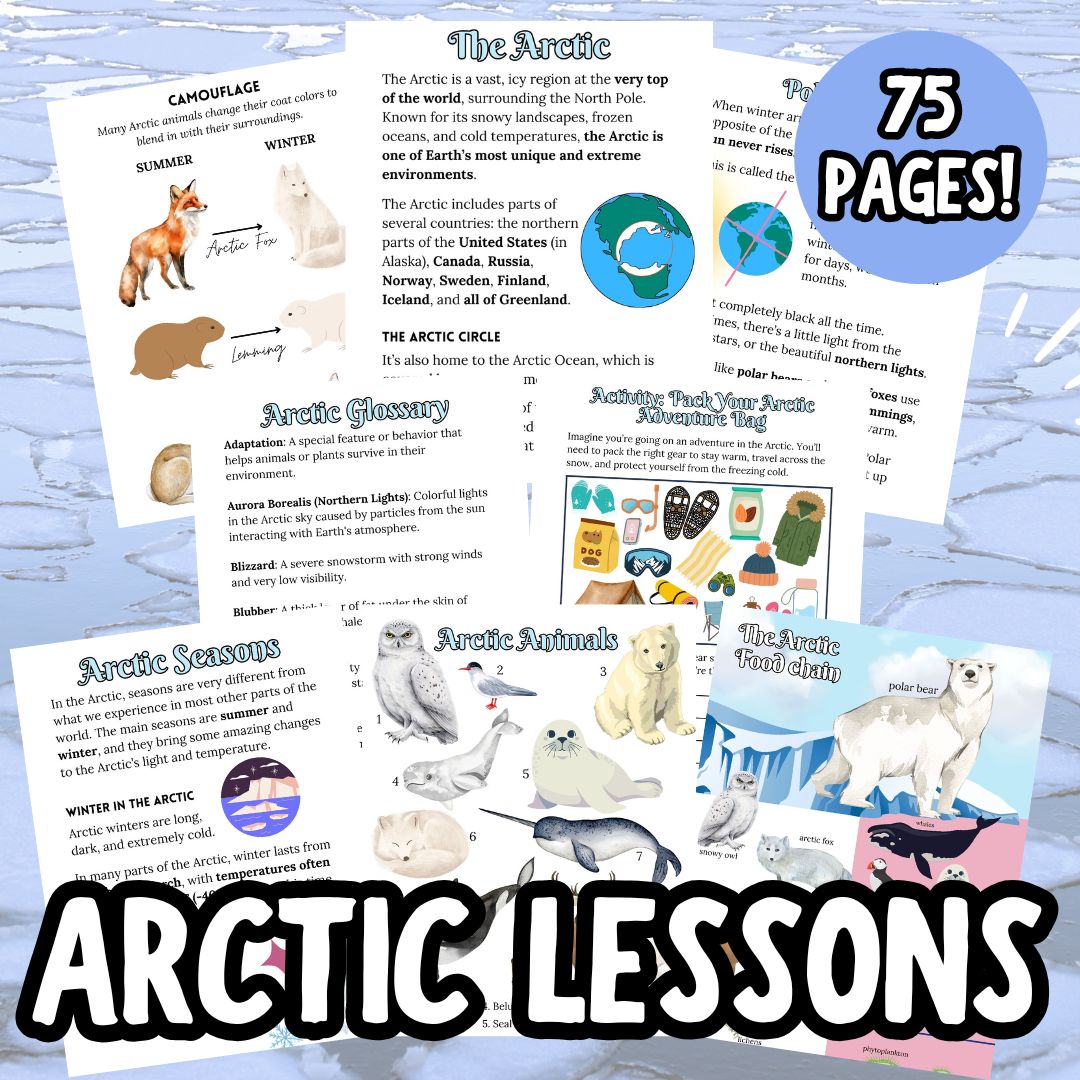 Winter Arctic Lesson Guide and Projects – Little Bins for Little Hands