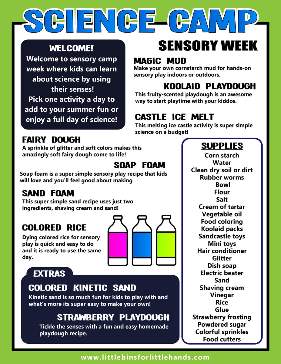 Science CAMP Theme: Sensory (FREE) – Little Bins for Little Hands