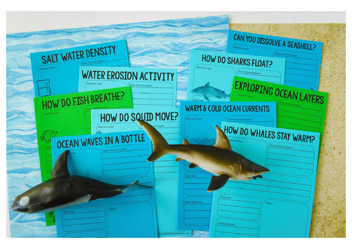 Ocean STEM Pack – Little Bins for Little Hands