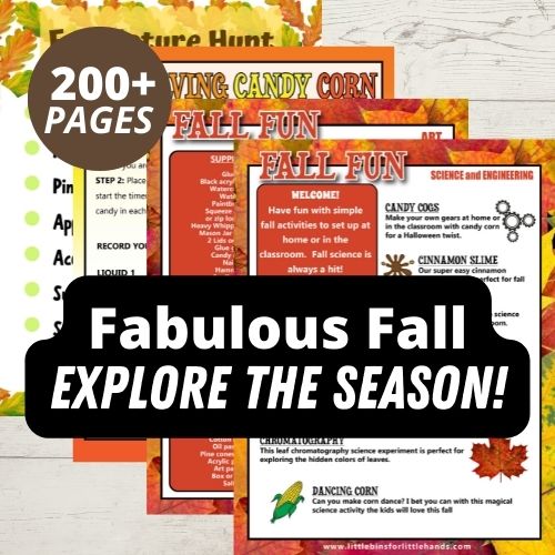 Fall STEM Pack (non-pumpkin, non-apple) – Little Bins for Little Hands