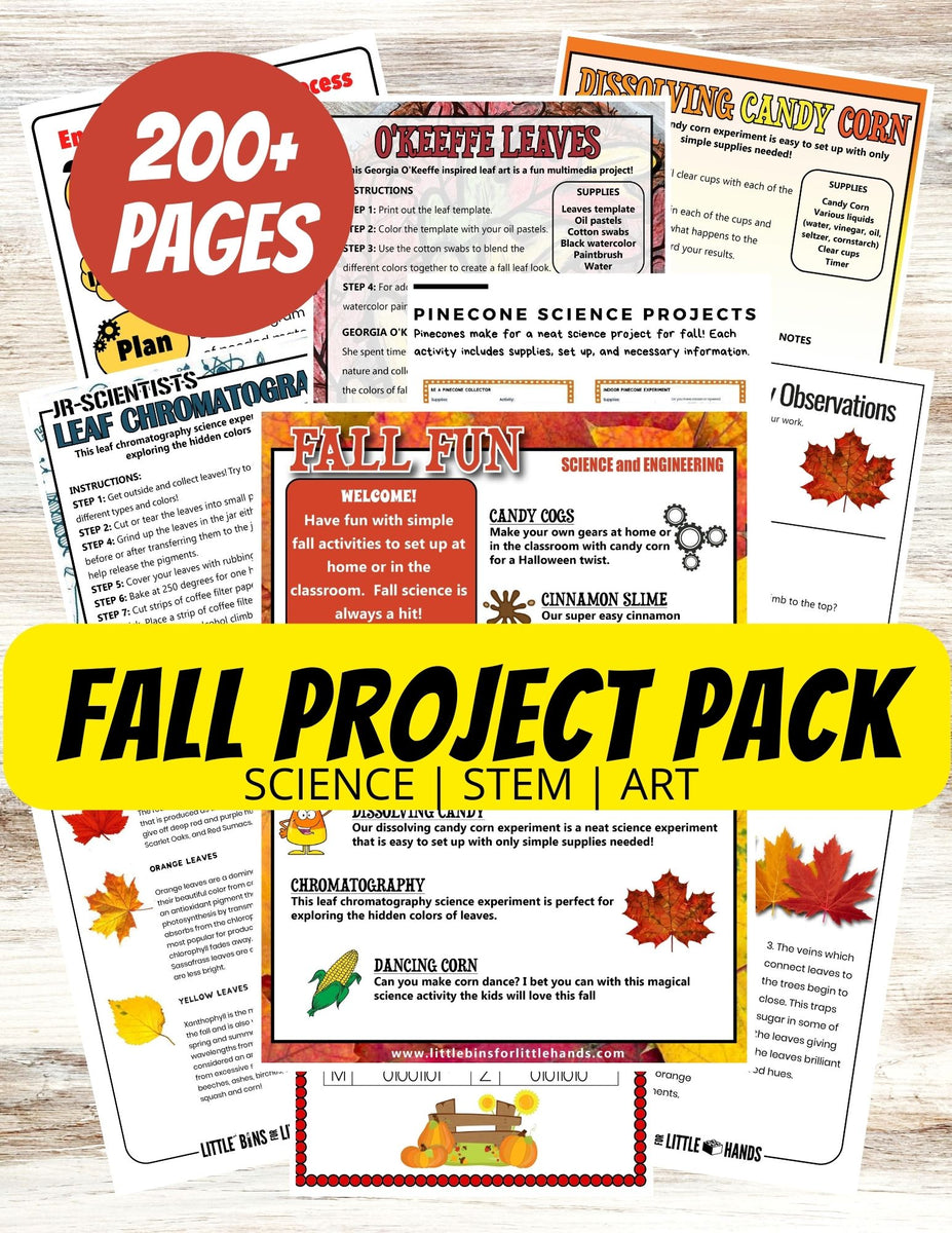 Fall STEM Pack (non-pumpkin, non-apple) – Little Bins for Little Hands