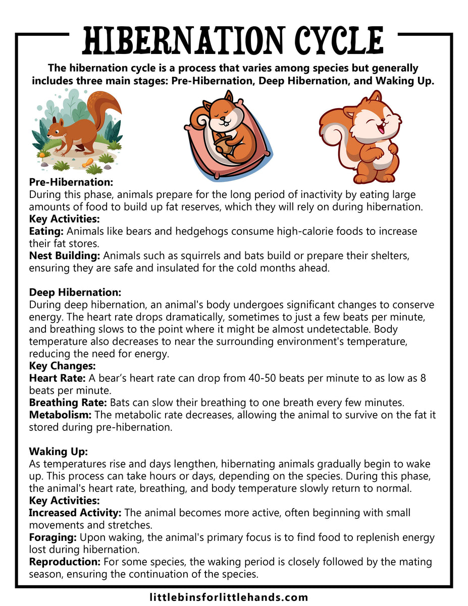 Animal Hibernation Project Pack – Little Bins for Little Hands