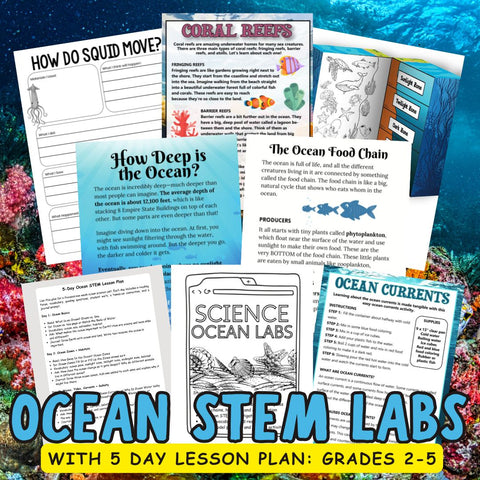 Science/STEM – Little Bins for Little Hands
