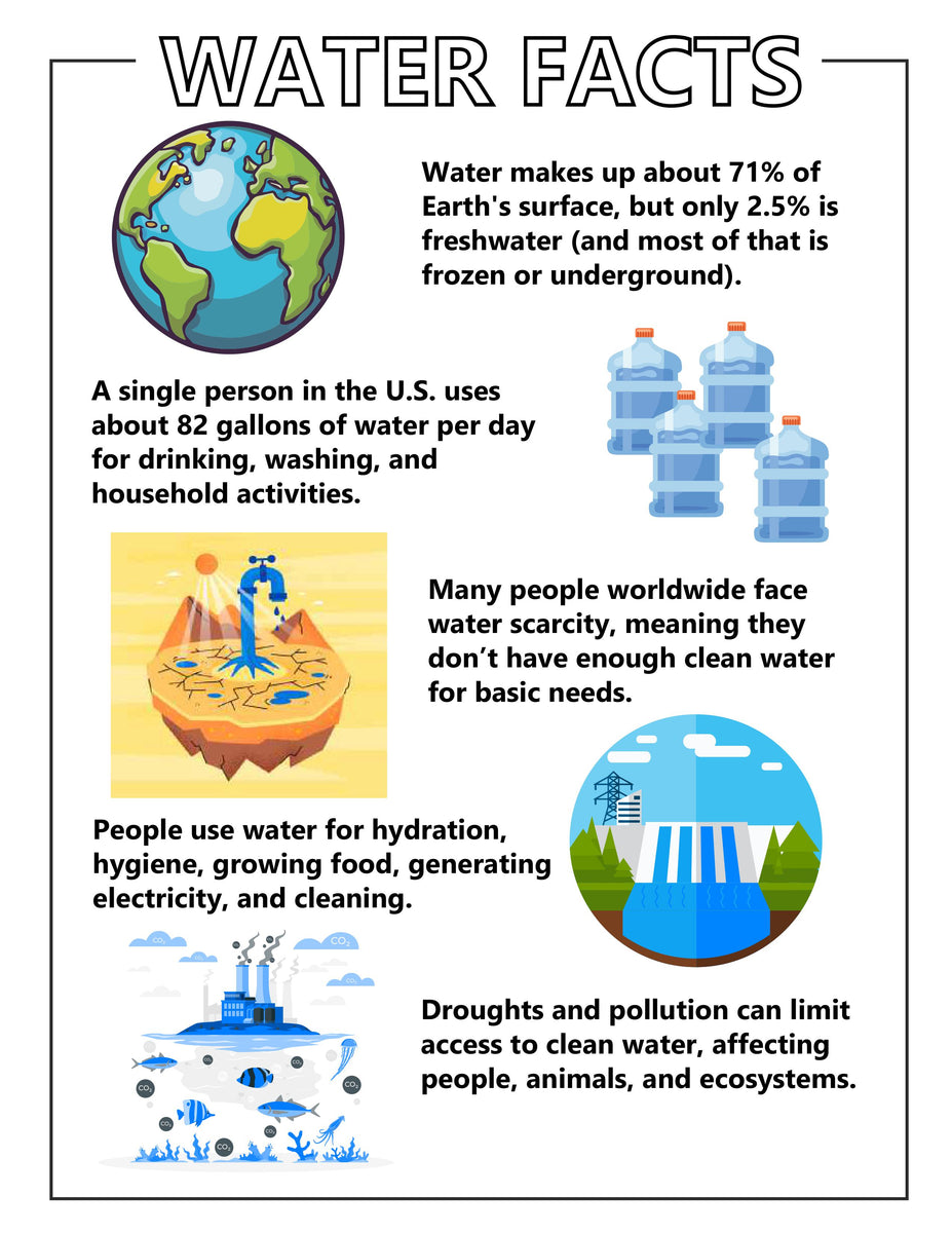 Water Conservation Activity Pack + Water Study Unit | STEM & Science P ...