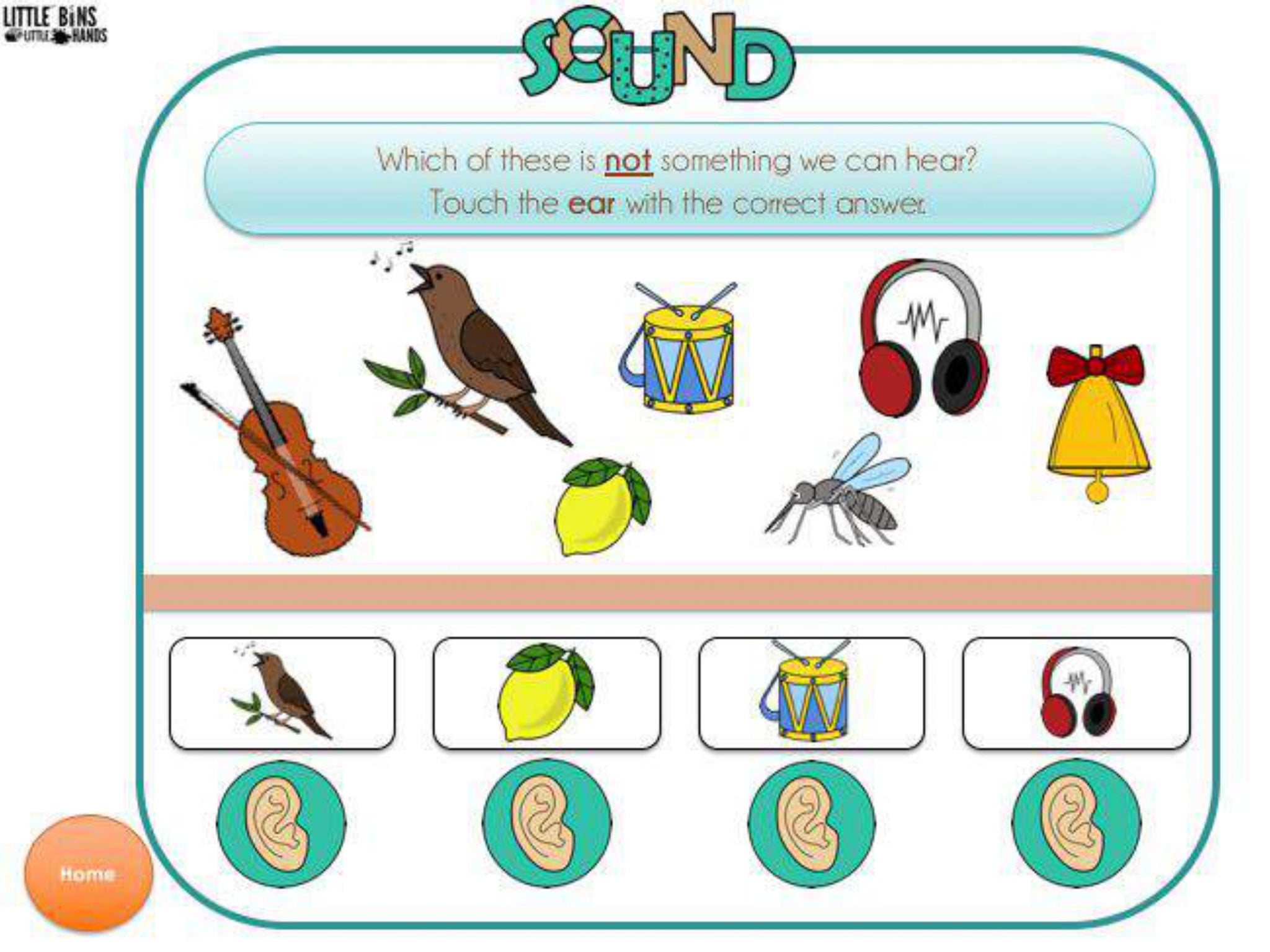 5 Senses Digital Activities Pack – Little Bins for Little Hands