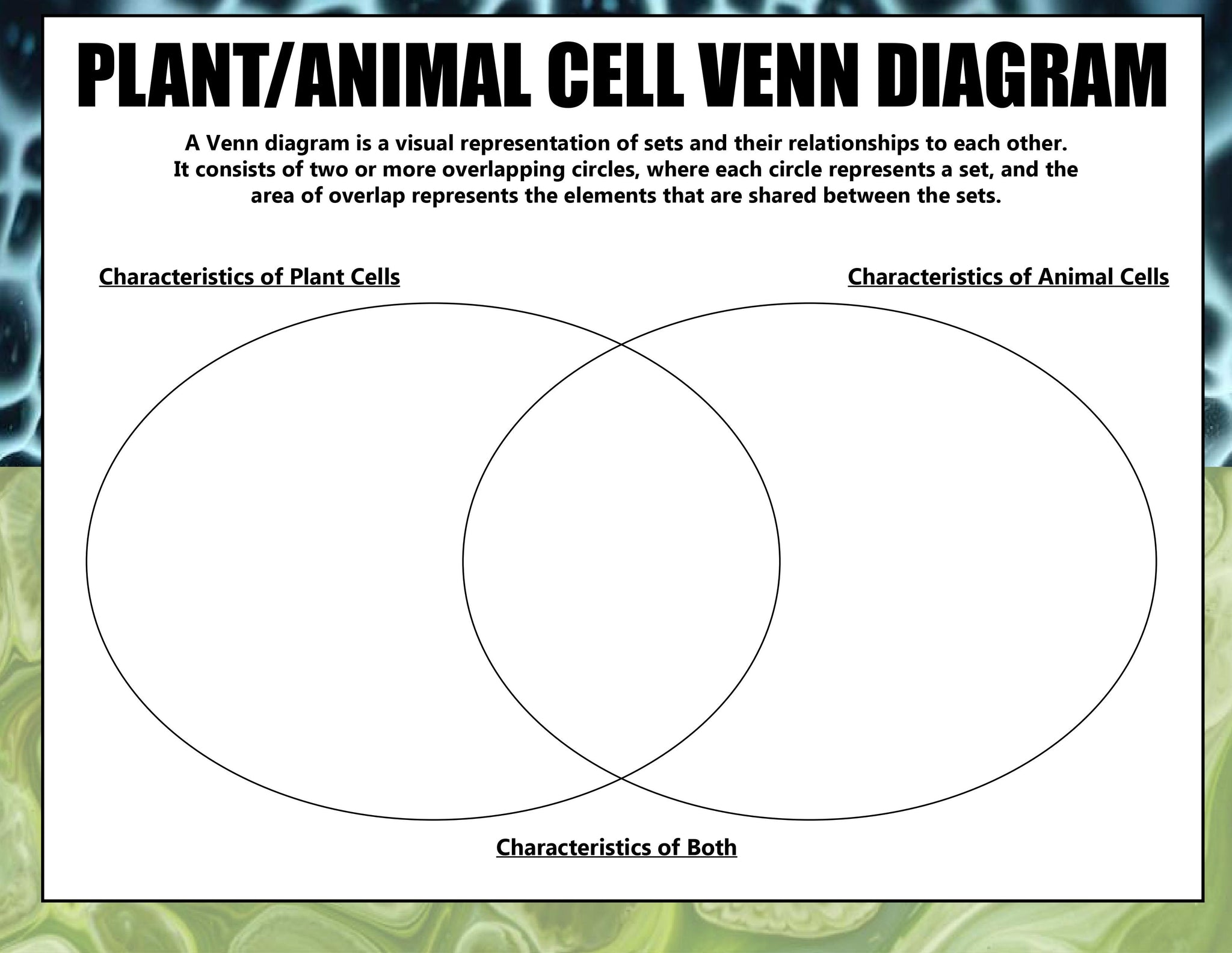 Animal and Plant Cells STEAM Activity Pack – Little Bins for Little Hands