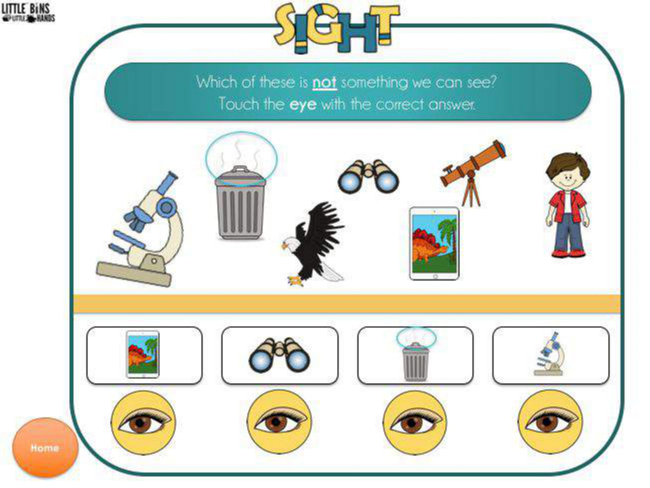 5 Senses Digital Activities Pack – Little Bins for Little Hands