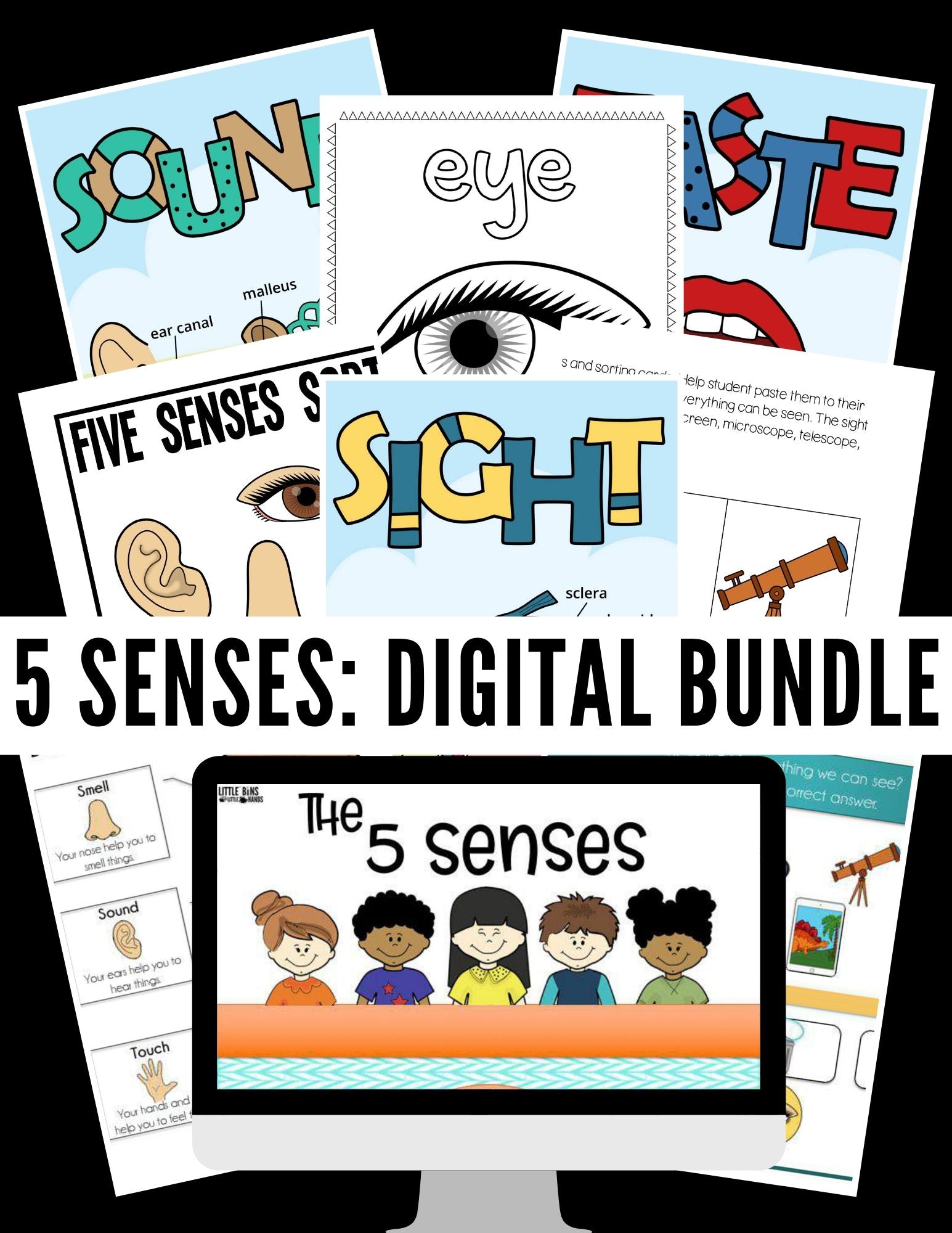 5 Senses Digital Activities Pack – Little Bins for Little Hands