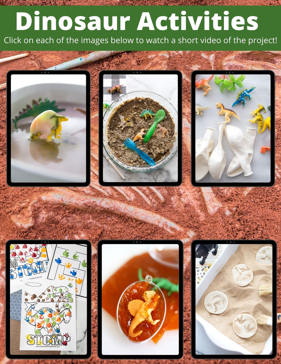 Dinosaur Projects Pack – Little Bins for Little Hands