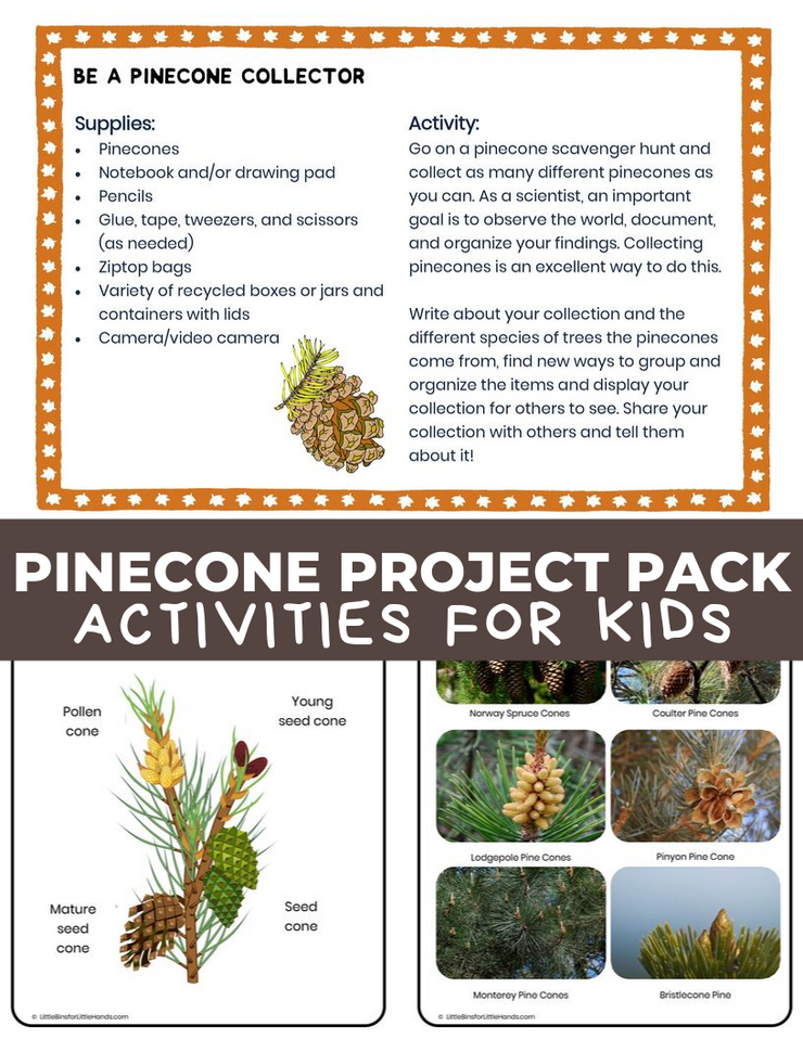 Pine Cone STEM Pack – Little Bins for Little Hands